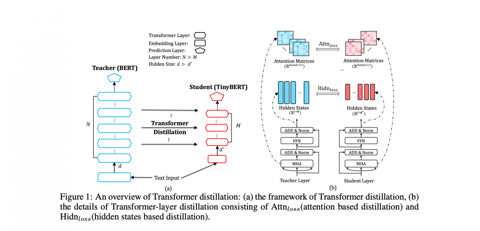 AI趨勢周報第104期：更輕更小！華為發表TinyBERT準確度不輸Google BERT | iThome